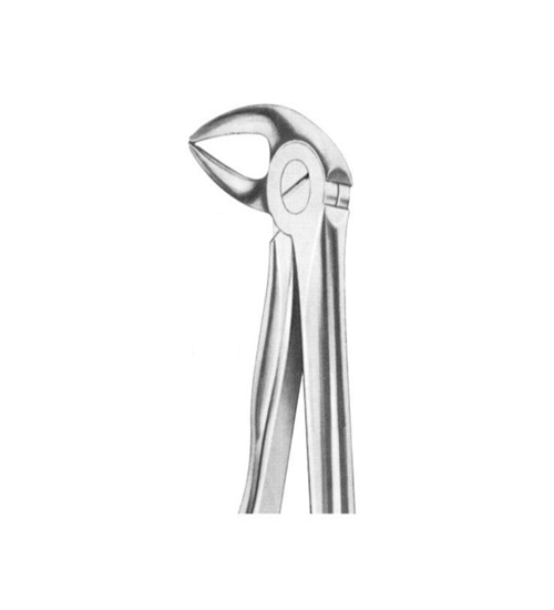 Extraction Forceps Lower Roots 33 Standard – Dental Prod