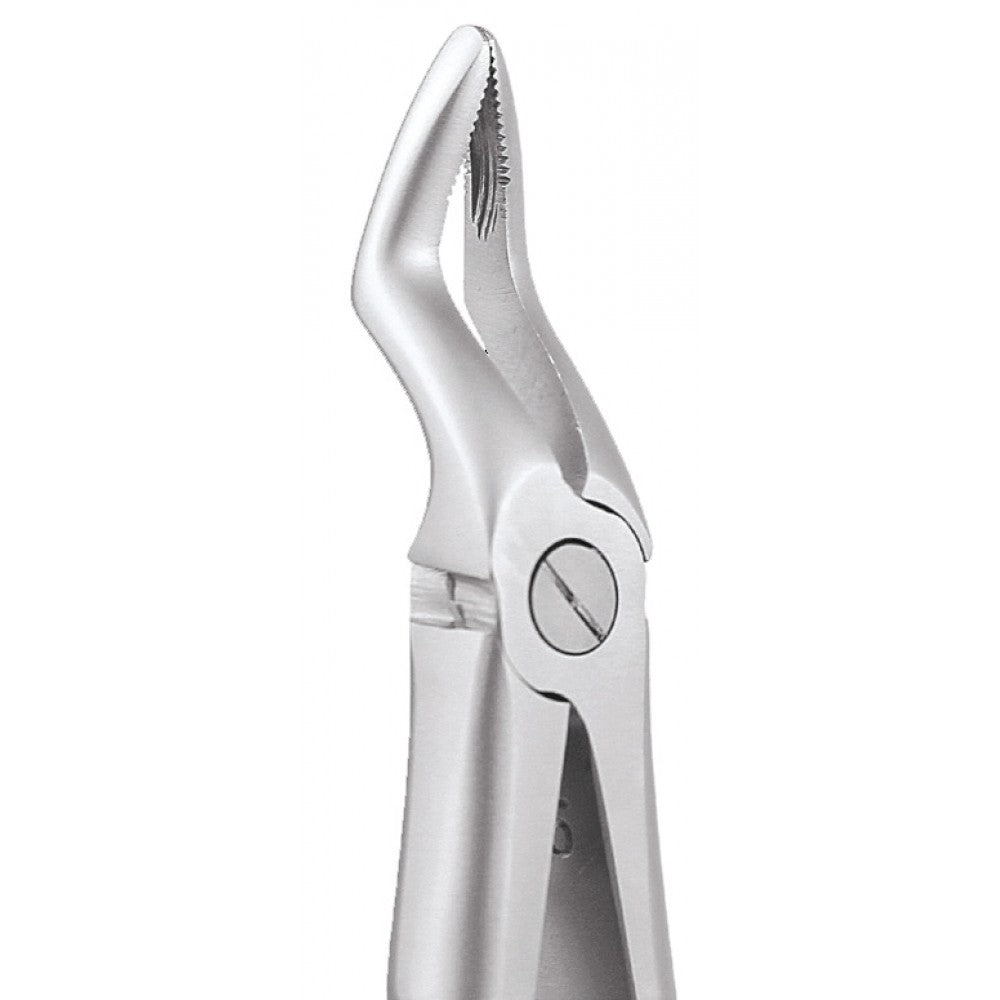 Extraction Forceps Peedo Upper Roots Standard – Dental Prod